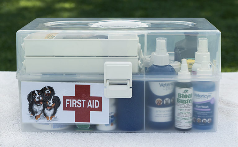 Eileen's First Aid Kit for Dogs: How to put one together